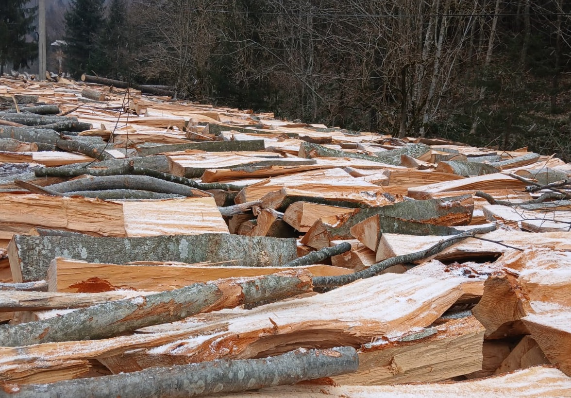 O primărie din Țara Făgărașului a scăzut prețul la lemnul de foc ...